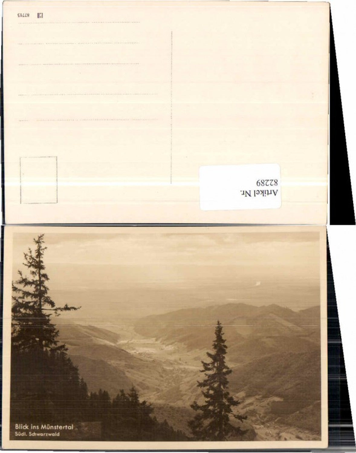 82289,Blick ins Münstertal Schwarzwald – Mostviertler Ansichtskartenversand